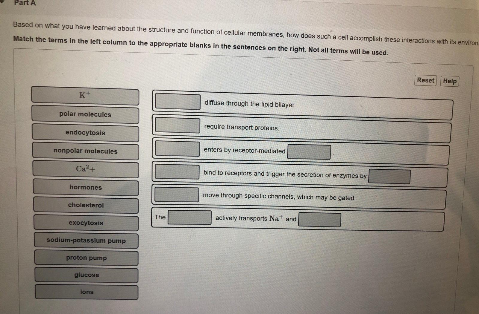 Solved Part A Based on what you have learned about the | Chegg.com