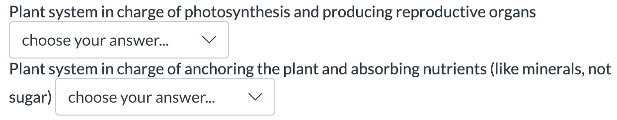 Solved Plant system in charge of photosynthesis and | Chegg.com