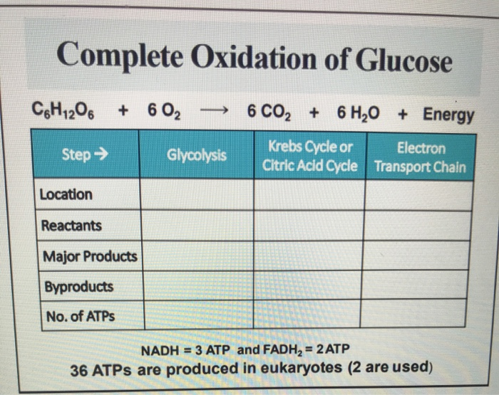 Solved Complete Oxidation of Glucose CH,206 + 602 6002 + | Chegg.com