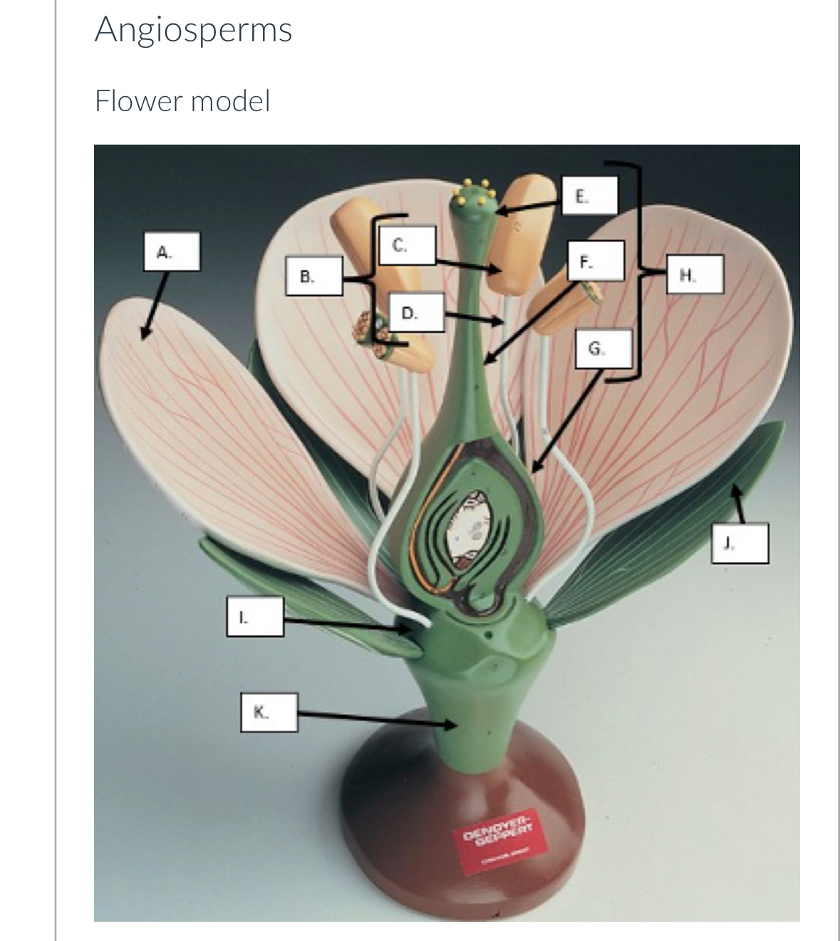 Solved label all parts please | Chegg.com