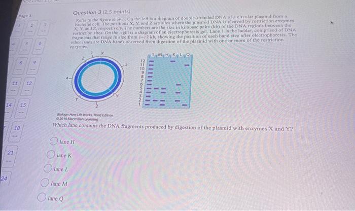 Solved Pure Question 3 (25 points) Refer to the rigure shown | Chegg.com