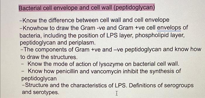 Solved Bacterial cell envelope and cell wall (peptidoglycan) | Chegg.com