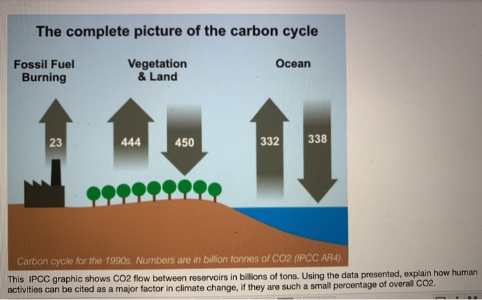 Solved The complete picture of the carbon cycle Fossil Fuel | Chegg.com