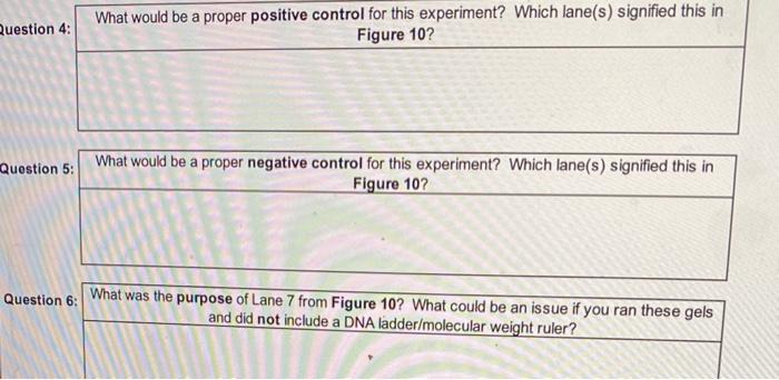 Solved You have been tasked with the design of an experiment | Chegg.com
