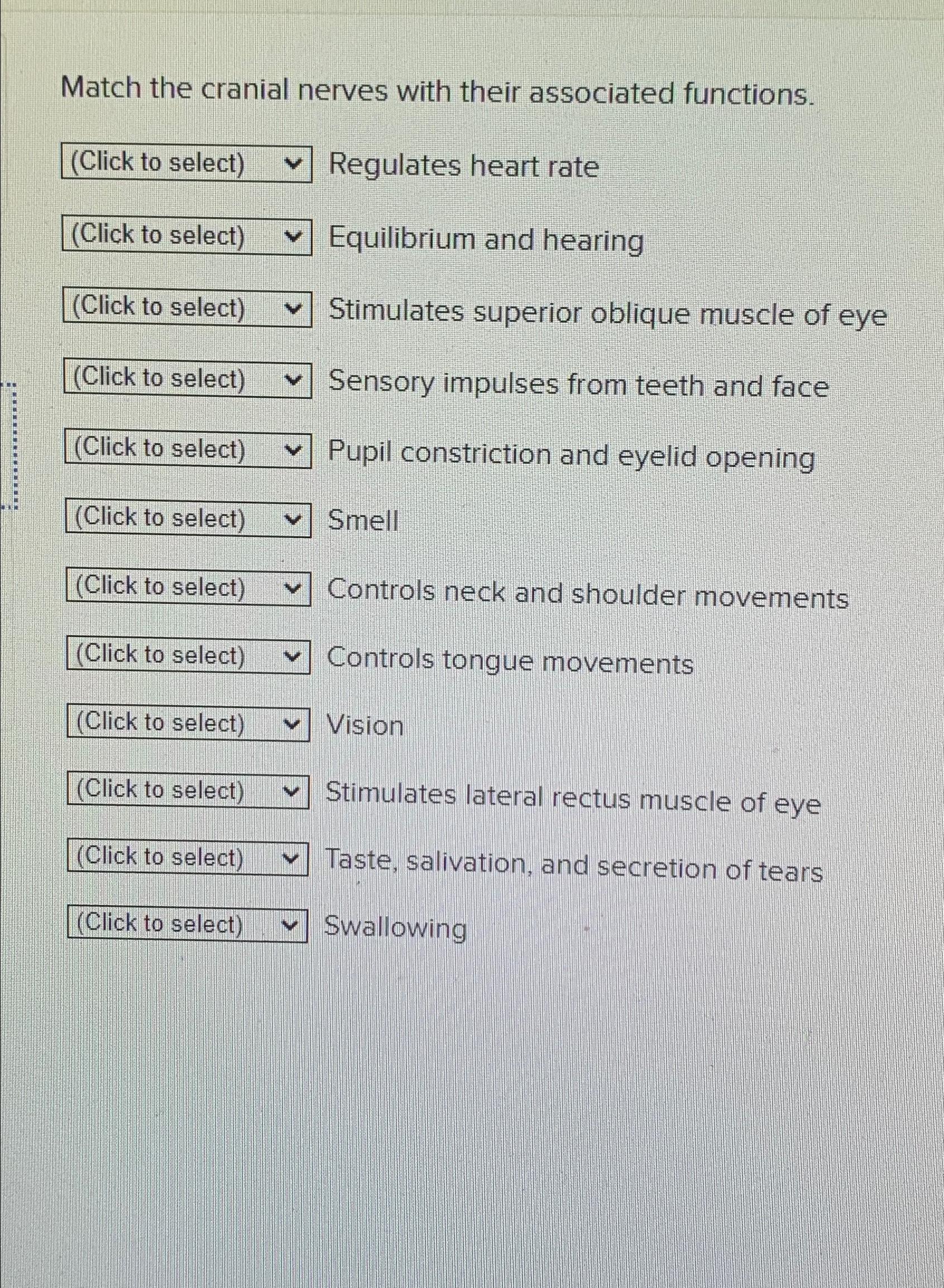 Solved Match the cranial nerves with their associated | Chegg.com