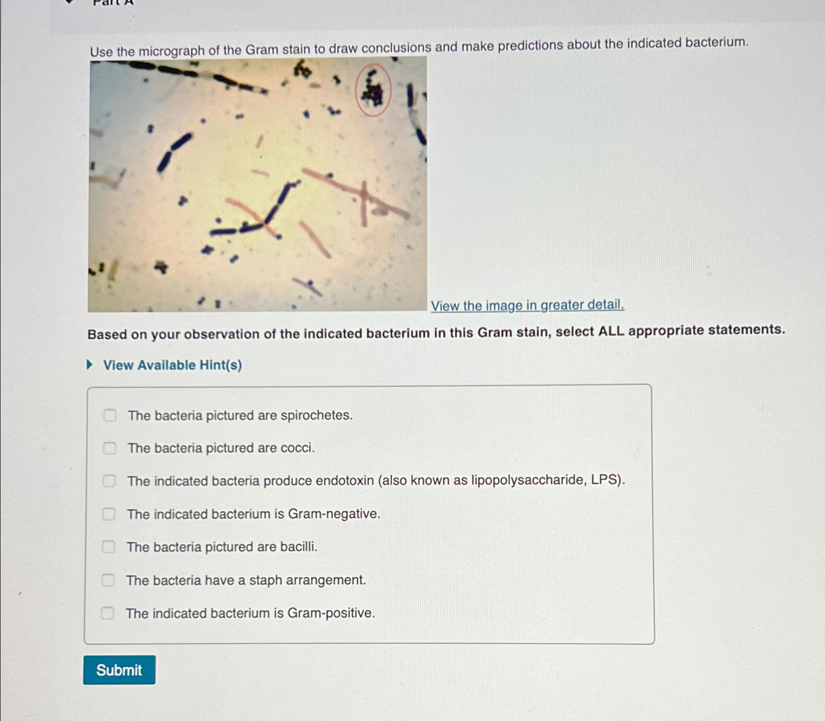 Solved Use the micrograph of the Gram stain to draw | Chegg.com