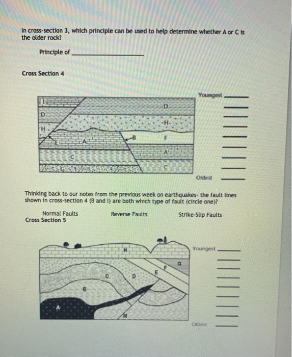 Solved Insert Table Chart Text Shape Media Comment For each | Chegg.com