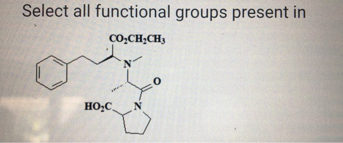 Solved Select all functional groups present in CO2CH2CH3 N o | Chegg.com