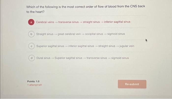 Solved Which of the following is the most correct order of | Chegg.com