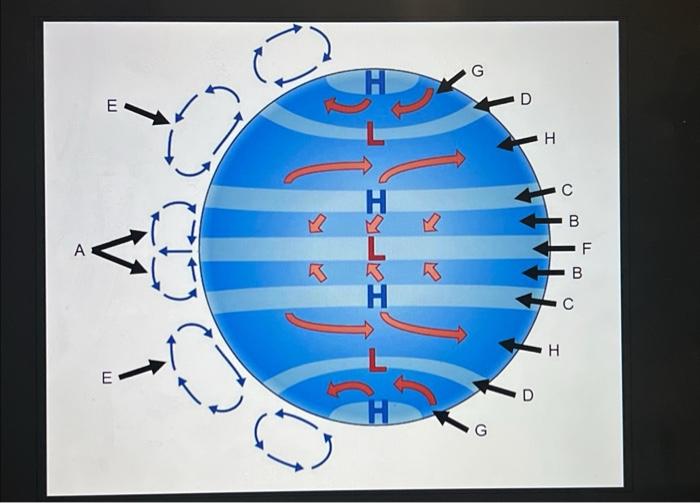 Solved Please check my work and let me know if I have | Chegg.com