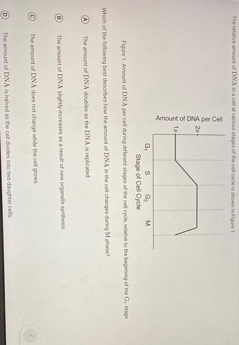 Solved The relative amount of DNA in a cell at various | Chegg.com