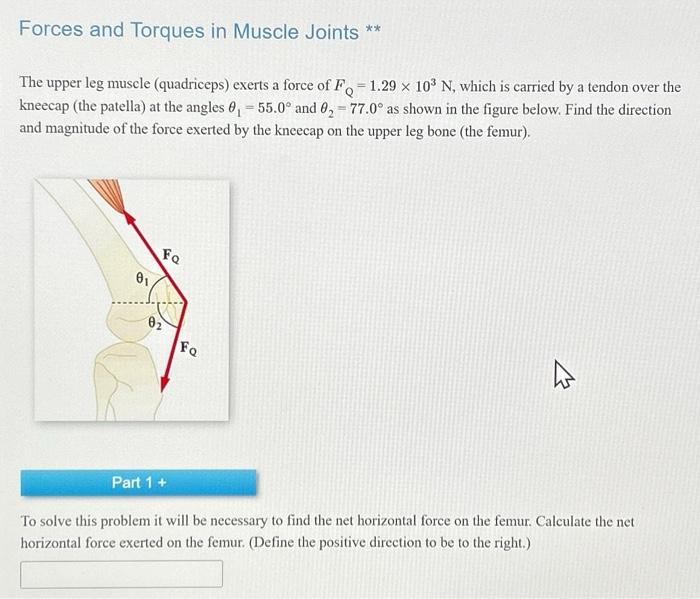 The upper leg muscle (quadriceps) exerts a force of | Chegg.com