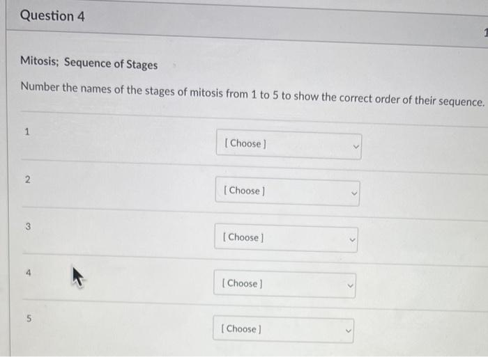 Solved Mitosis; Sequence of Stages Number the names of the | Chegg.com