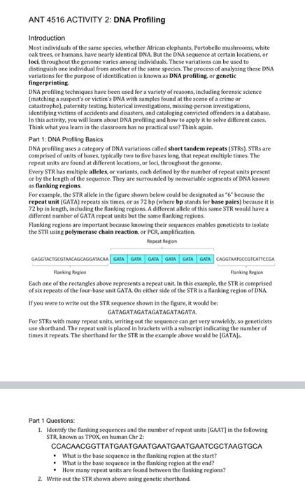Solved ANT 4516 ACTIVITY 2: DNA Profiling Introduction Most | Chegg.com