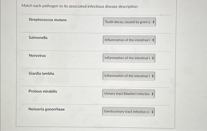 Solved Match each pathogen to its associated infectious | Chegg.com