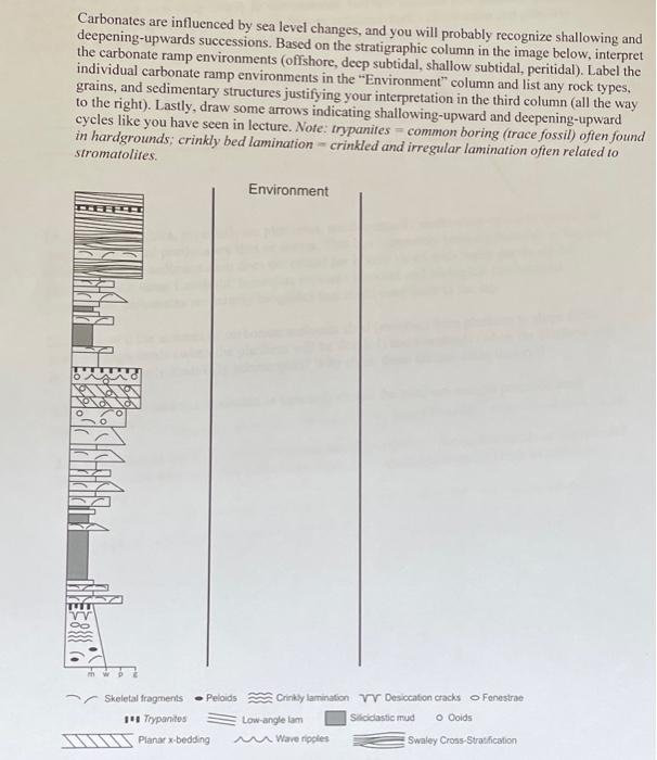 Carbonates are influenced by sea level changes, and | Chegg.com