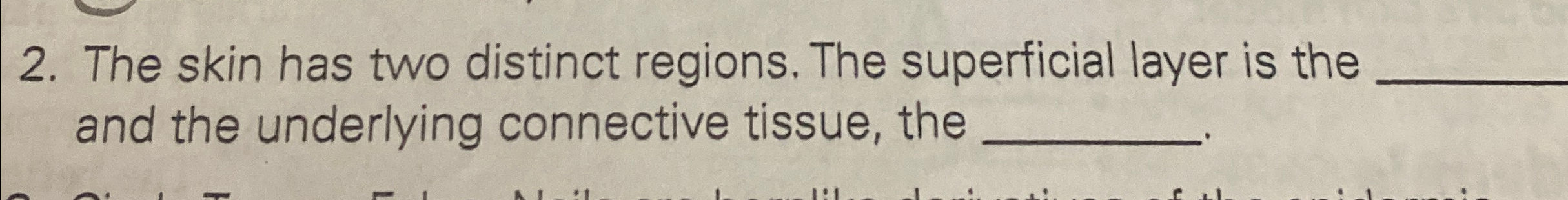 Solved The skin has two distinct regions. The superficial | Chegg.com