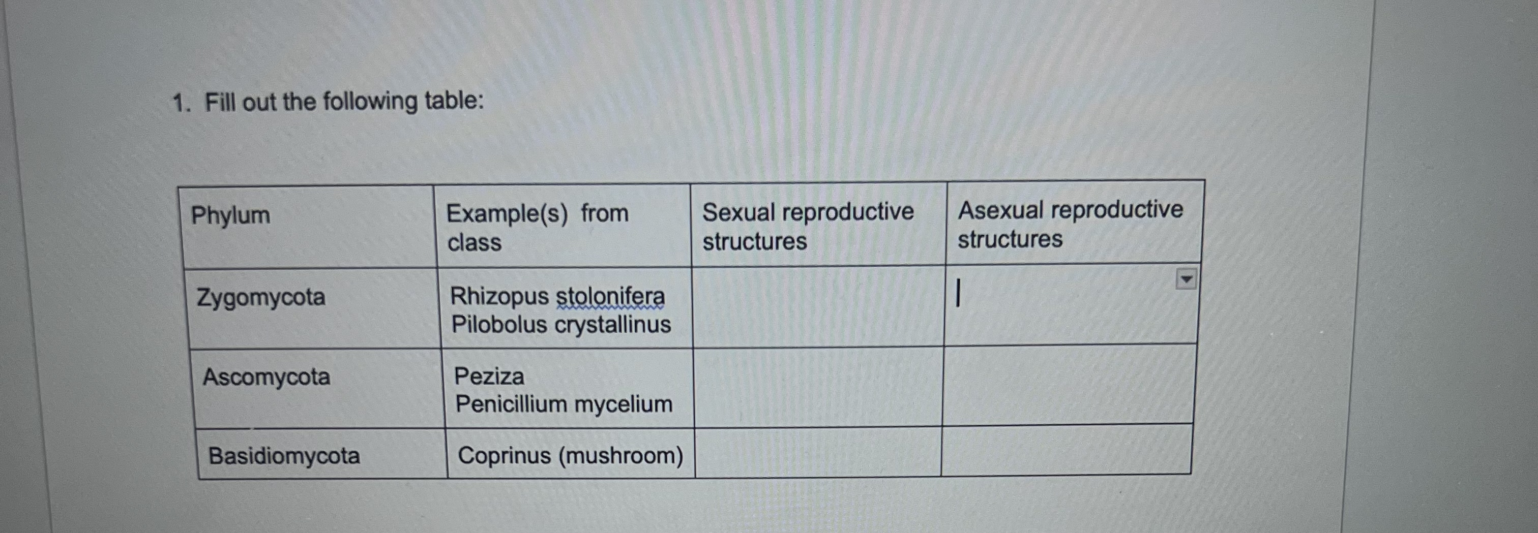 Solved Fill out the following | Chegg.com