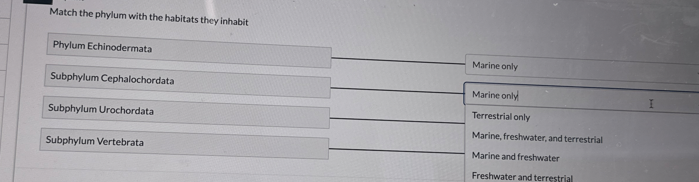 Solved Match the phylum with the habitats they inhabitPhylum | Chegg.com