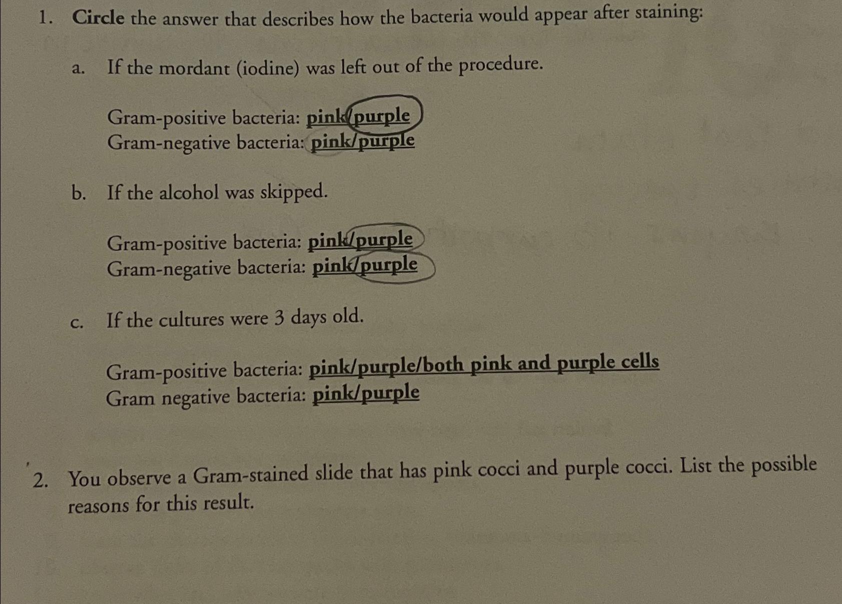 Solved Circle the answer that describes how the bacteria | Chegg.com