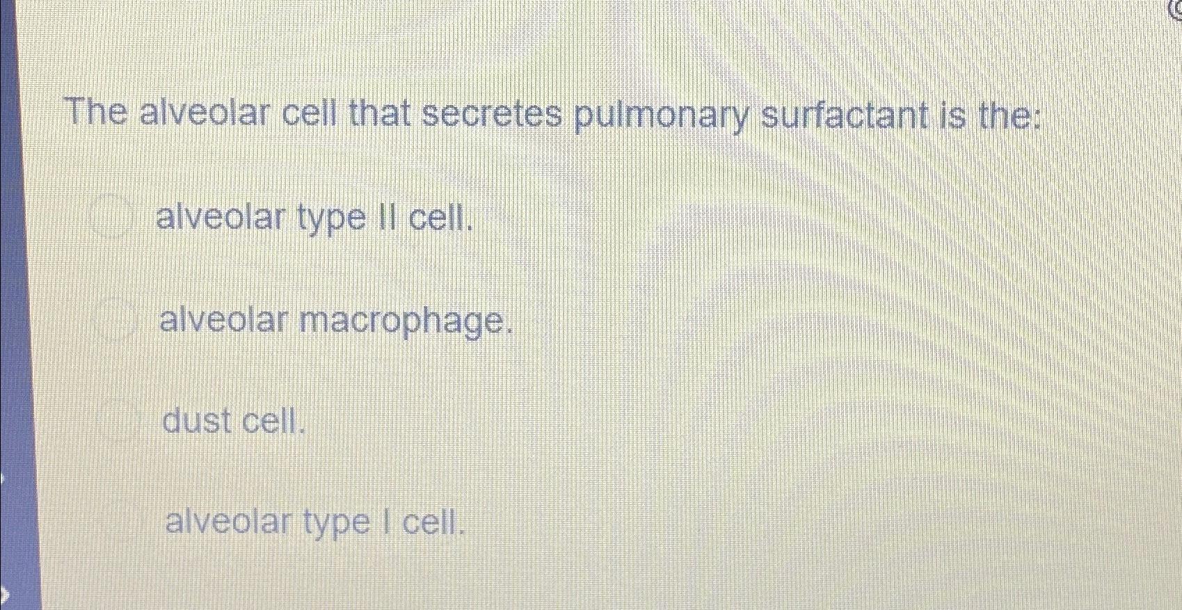 Solved The alveolar cell that secretes pulmonary surfactant | Chegg.com
