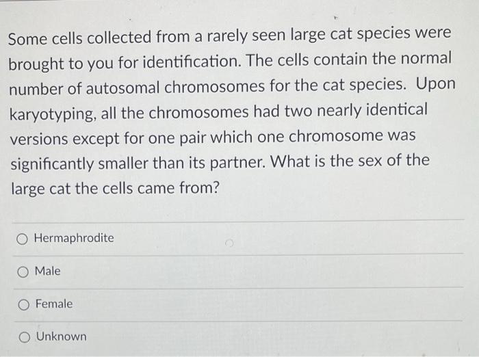 Solved Some cells collected from a rarely seen large cat | Chegg.com
