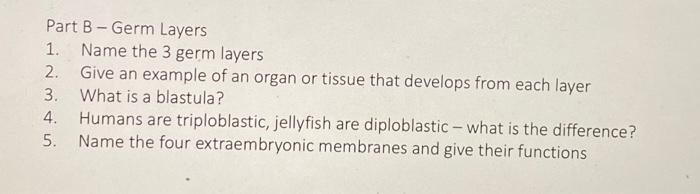 Solved Part B - Germ Layers 1. Name the 3 germ layers 2. | Chegg.com