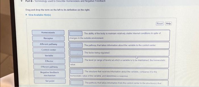Part B - Terminology used to Describe Homeostasis and | Chegg.com