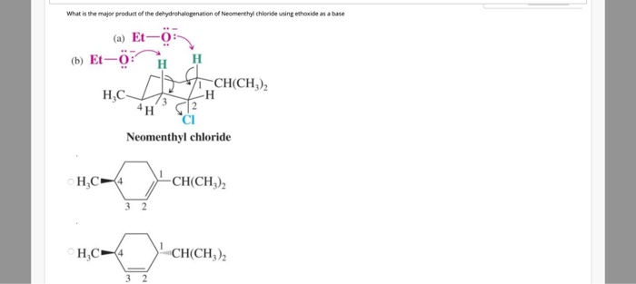 Solved Copy What is the MINOR product of the d r ag on of | Chegg.com