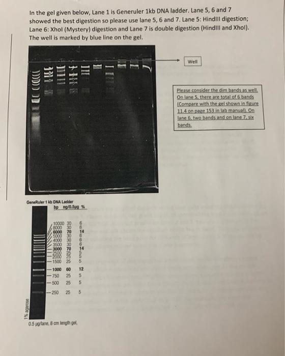 please answer question 3please make a linear | Chegg.com