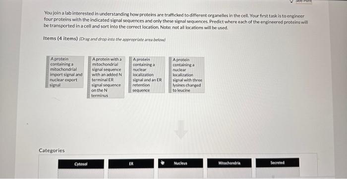Solved You join a lab interested in understanding how | Chegg.com