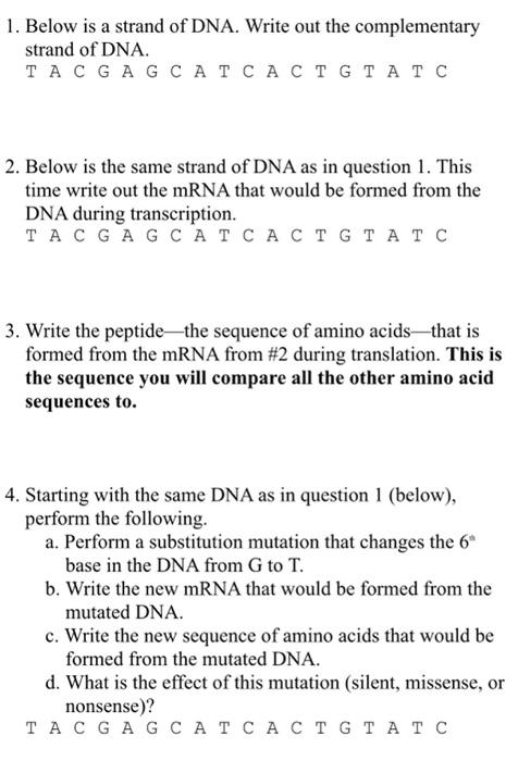 Solved 1. Below is a strand of DNA. Write out the | Chegg.com