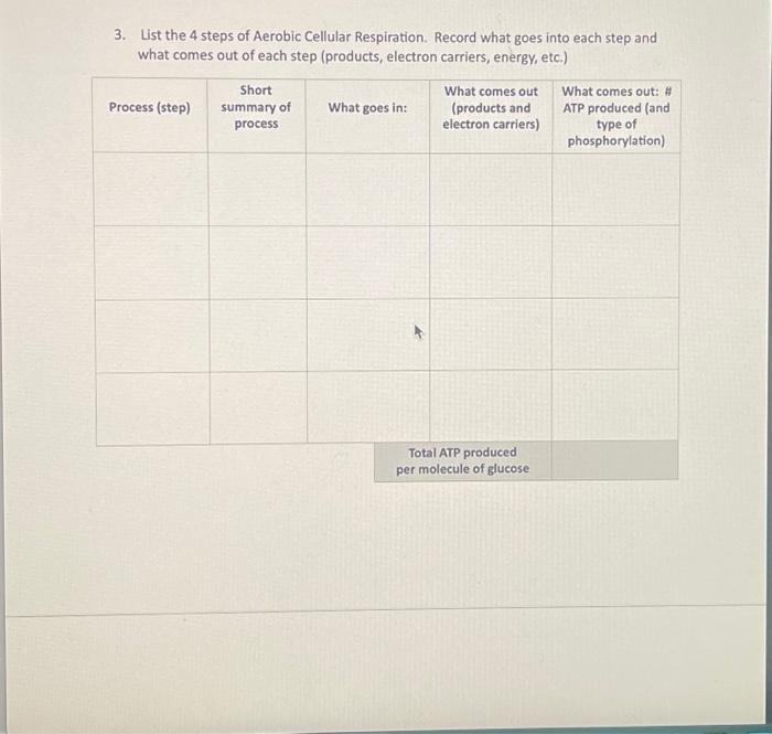 Solved 3. List the 4 steps of Aerobic Cellular Respiration. | Chegg.com
