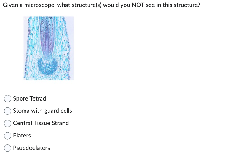 Solved Given a microscope, what structure(s) ﻿would you NOT | Chegg.com