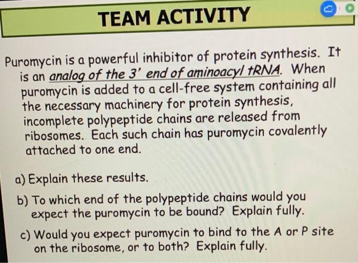 Solved TEAM ACTIVITY Puromycin is a powerful inhibitor of | Chegg.com