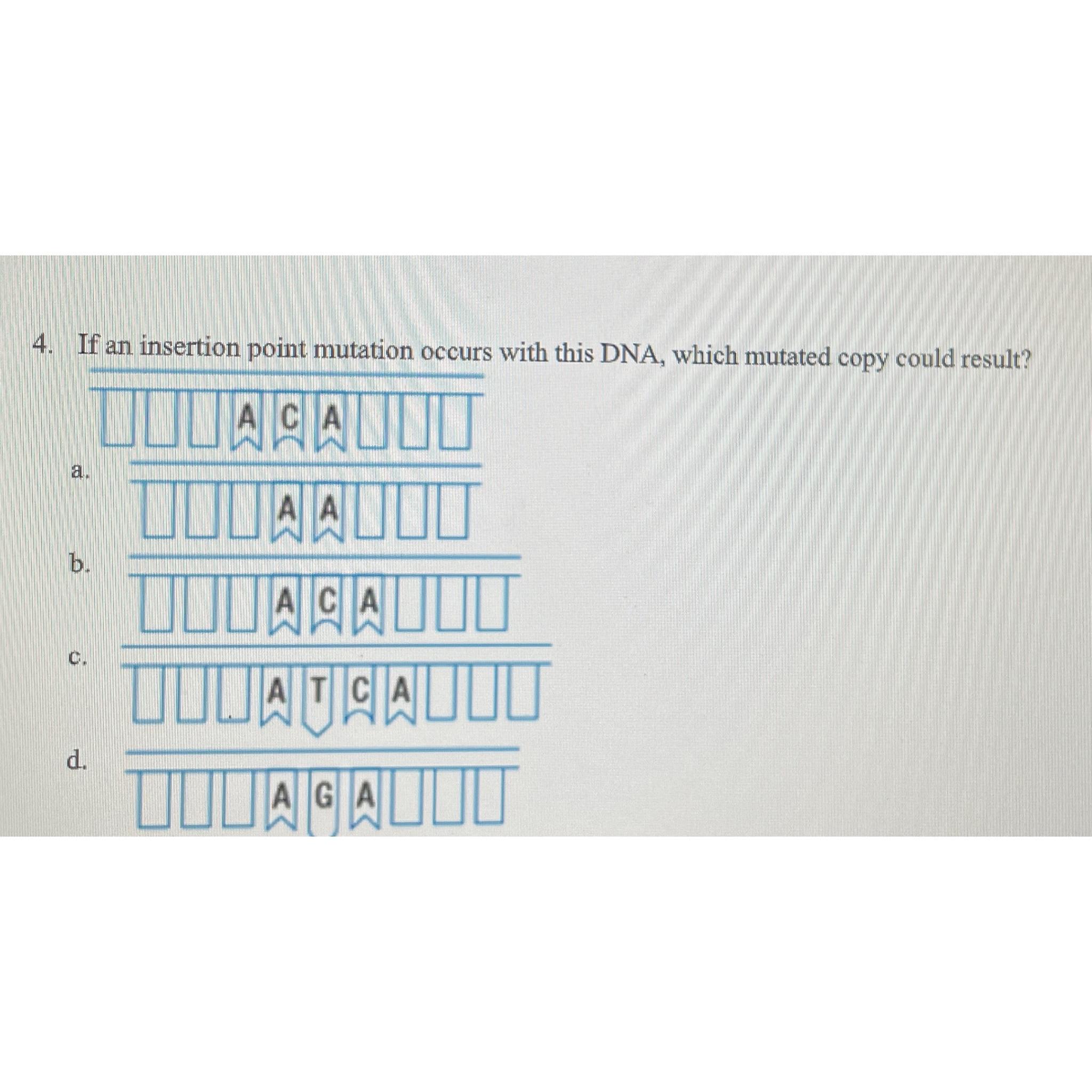 Solved If an insertion point mutation occurs with this DNA, | Chegg.com