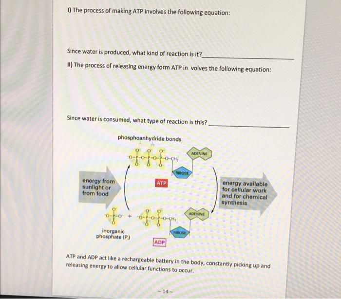Solved Monomer (building block of Lipids: Draw this | Chegg.com