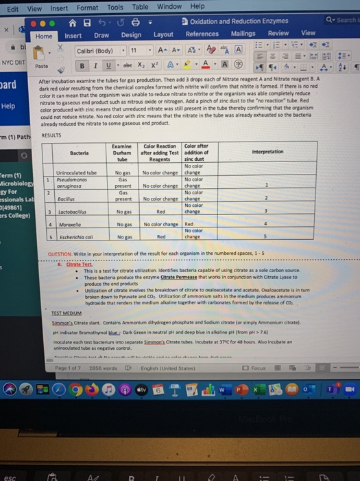 Solved Paste Edit View Insert Format Tools Table Window Help | Chegg.com