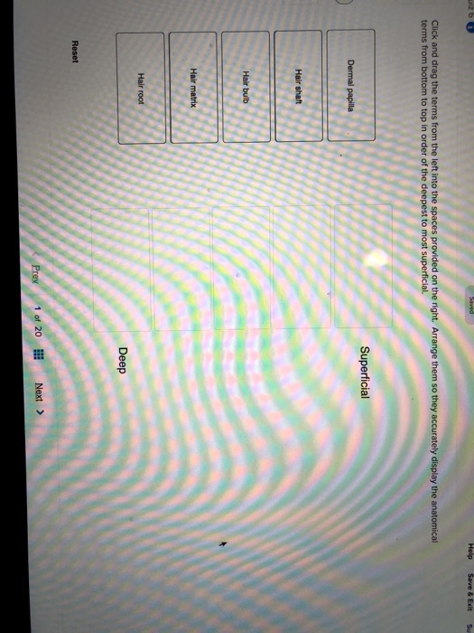 Solved uiz bu Saved Help Save & Exit su Click and drag the | Chegg.com