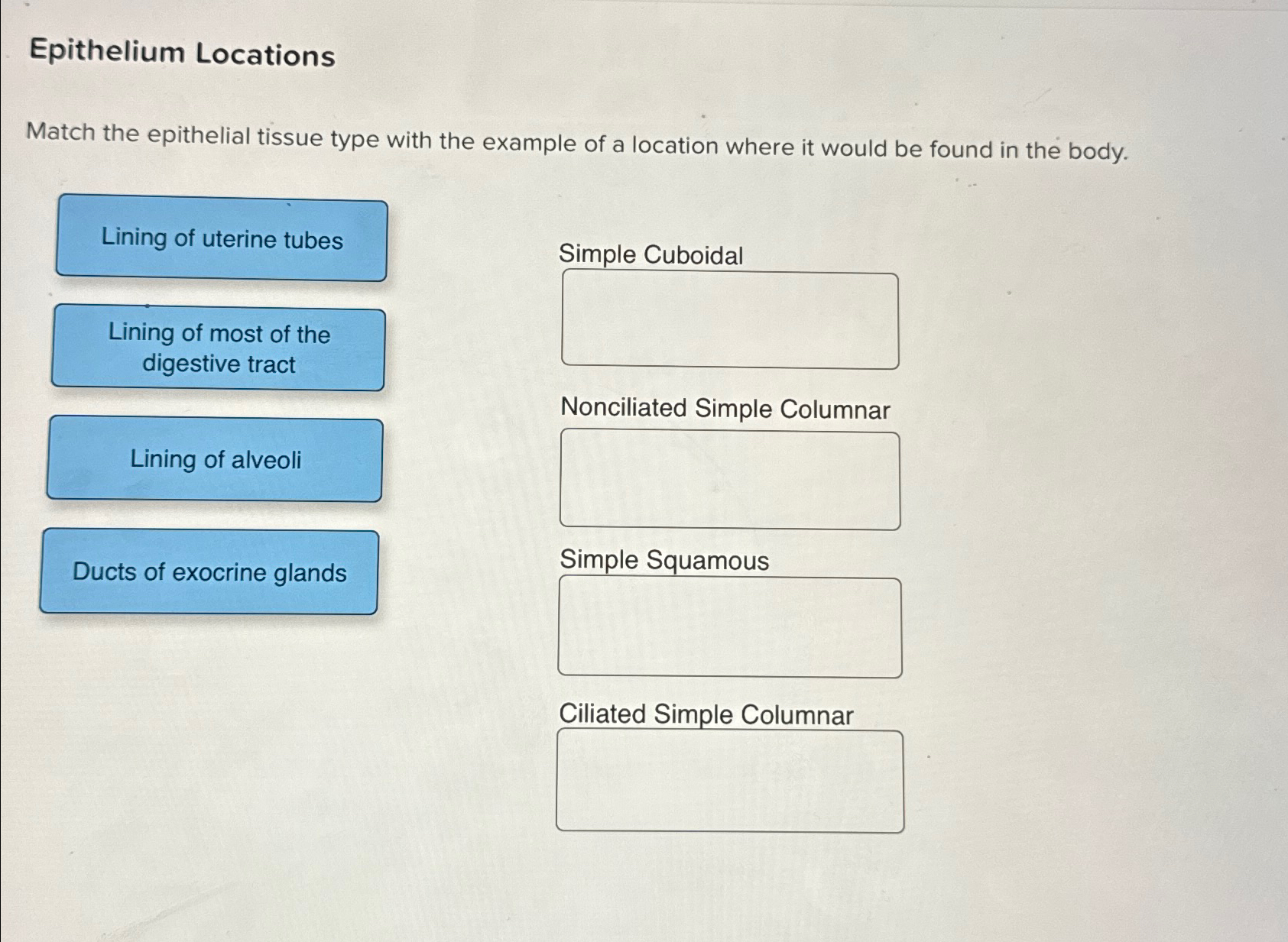 Solved Epithelium LocationsMatch the epithelial tissue type | Chegg.com