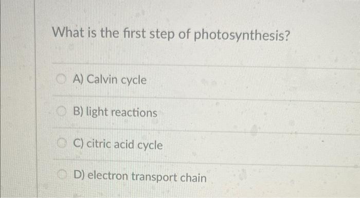 Solved What is the first step of photosynthesis? A) Calvin | Chegg.com