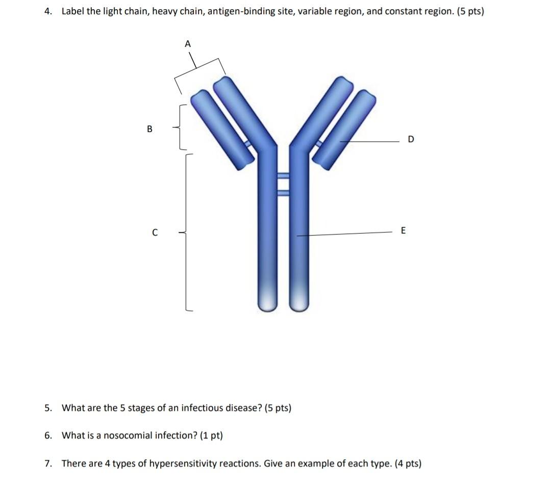 Solved 4. Label the light chain, heavy chain, | Chegg.com