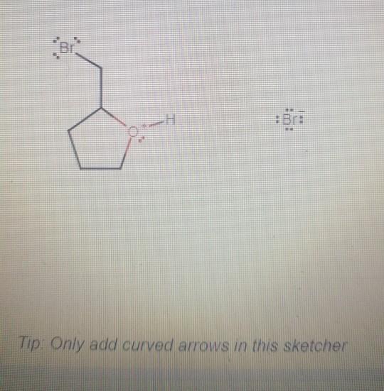 Solved Hom Tip: Only add curved arrows in this sketcher | Chegg.com