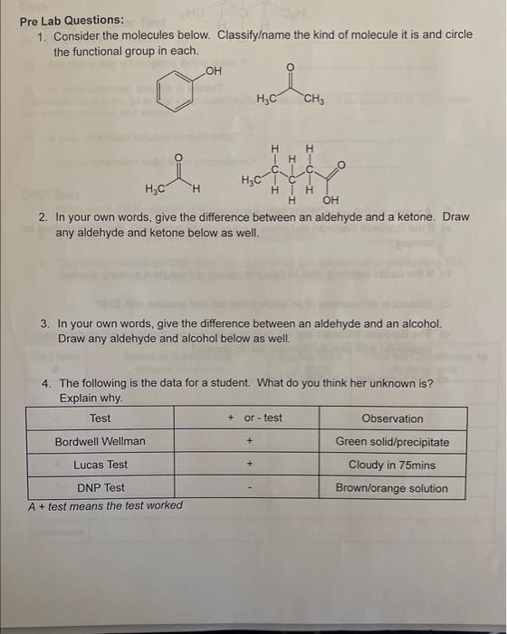 Solved Pre Lab Questions: 1. Consider the molecules below. | Chegg.com