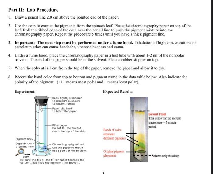 Solved Part II: Lab Procedure 1. Draw a pencil line 2.0 cm | Chegg.com
