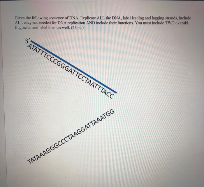 Solved Given the following sequence of DNA. Replicate ALL | Chegg.com