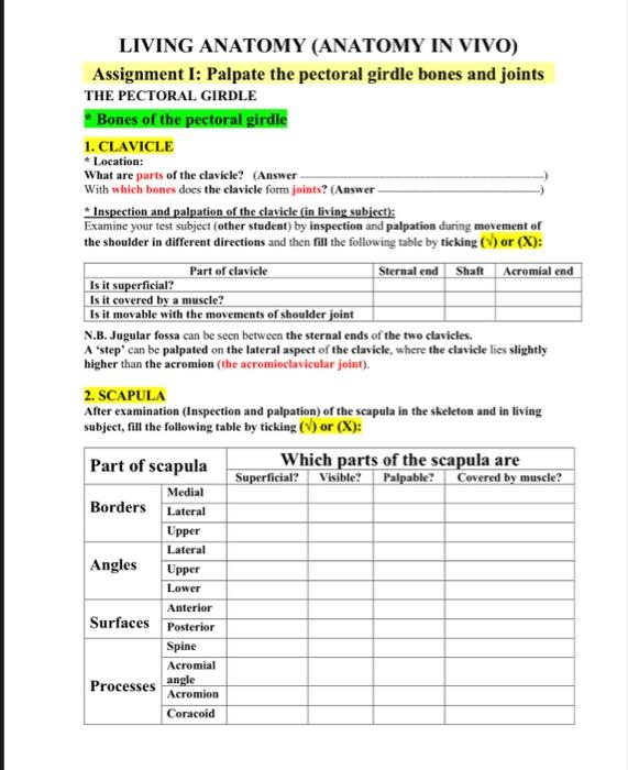 Solved LIVING ANATOMY (ANATOMY IN VIVO) Assignment I: | Chegg.com