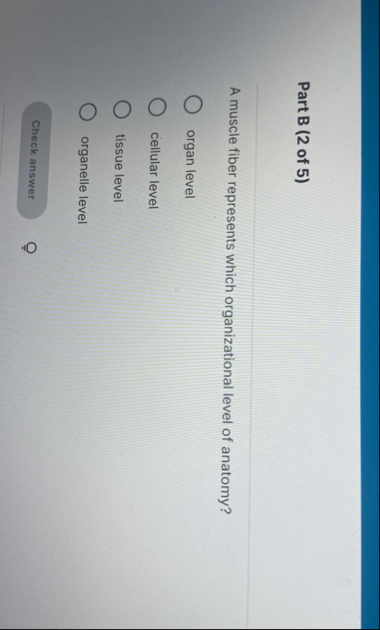 Solved Part B (2 ﻿of 5)A muscle fiber represents which | Chegg.com
