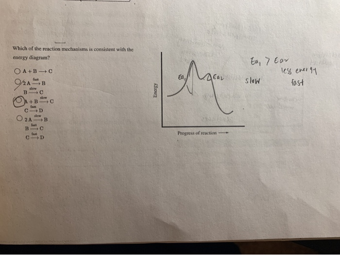 Solved Which of the reaction mechanisms is consistent with | Chegg.com
