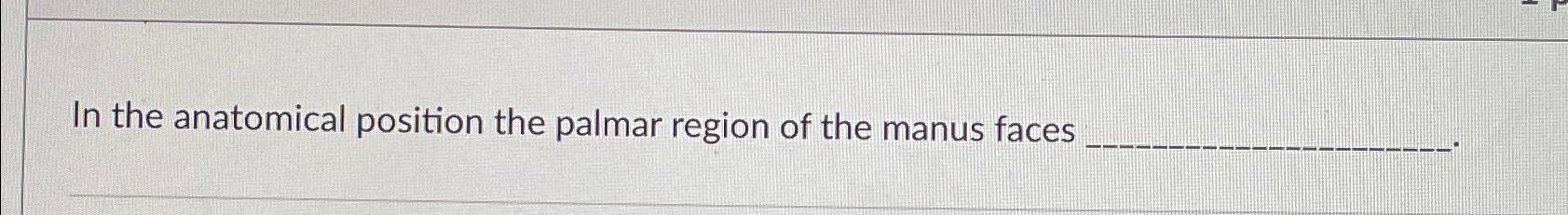 Solved In the anatomical position the palmar region of the | Chegg.com